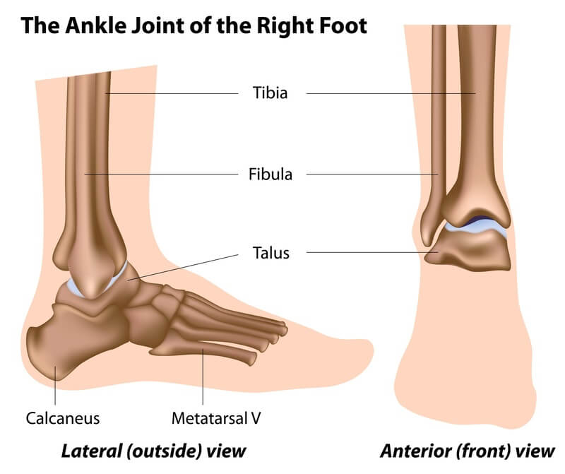 Ankle Pain Treatment Podiatrist In King Of Prussia